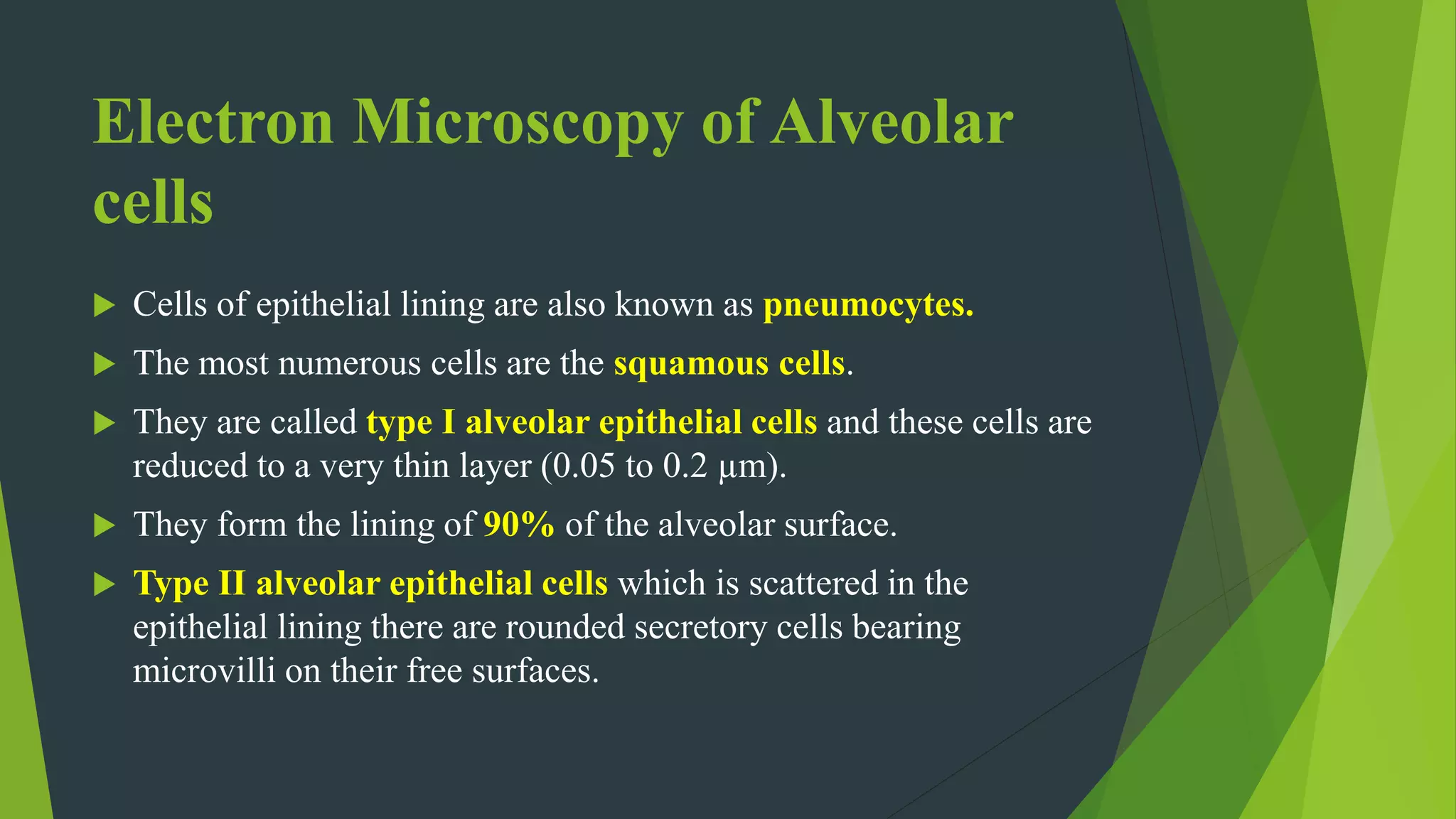 Lecture 4 (Respiratory tract).pptx