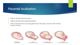 Lecture 4 Role of ultrasound in obstetrics | PPT