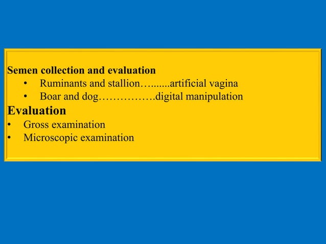 Lecture 4 Semen collection & semen evaluation .pptx