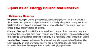 sports Nutrition by ar Malik for physical education sports science ...