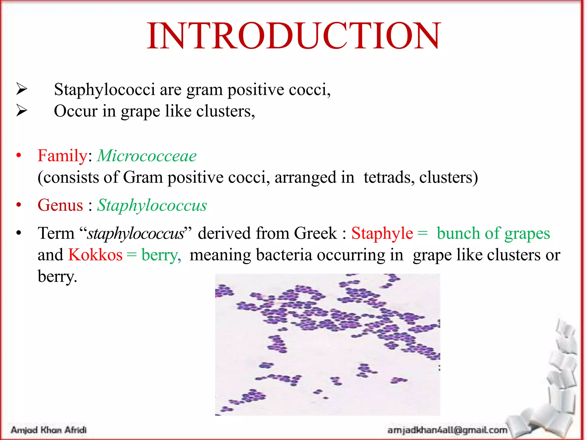 Staphylococcus | PPTX