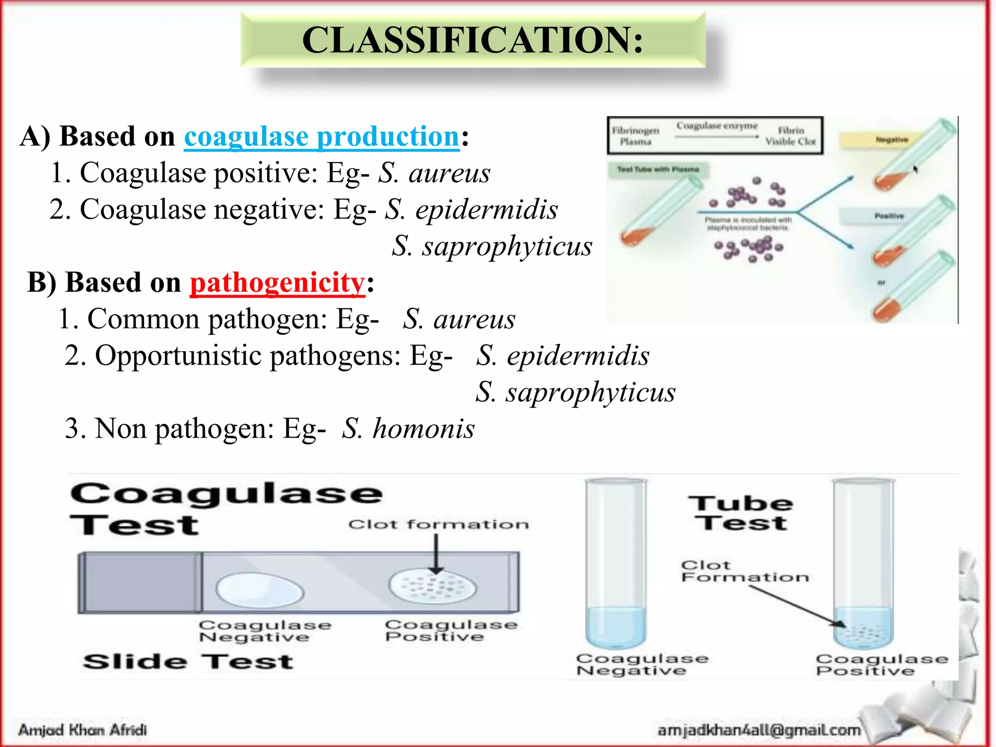 Staphylococcus | PPTX