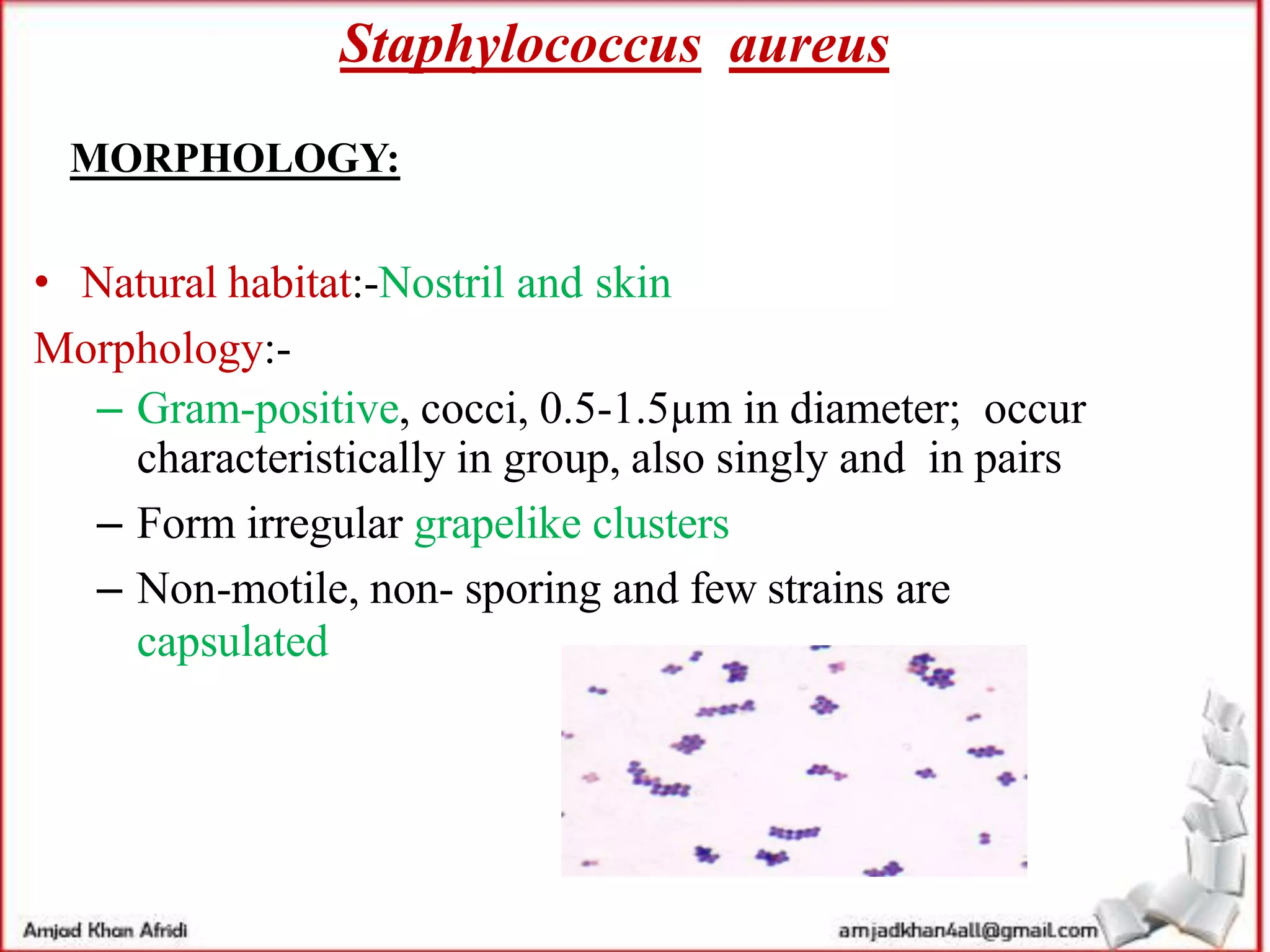 Staphylococcus | PPTX