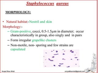 Staphylococcus | PPTX