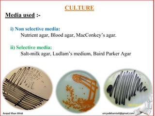 Staphylococcus | PPTX