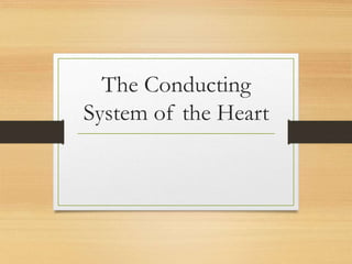 LECTURE 4_ The Conducting System of the Heart _ Blood Vessels.ppt