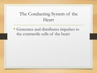 LECTURE 4_ The Conducting System of the Heart _ Blood Vessels.ppt