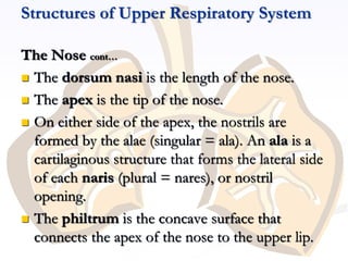 Lecture_4_the_respiratory_system.ppt