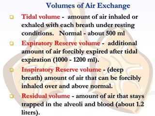 Lecture_4_the_respiratory_system.ppt