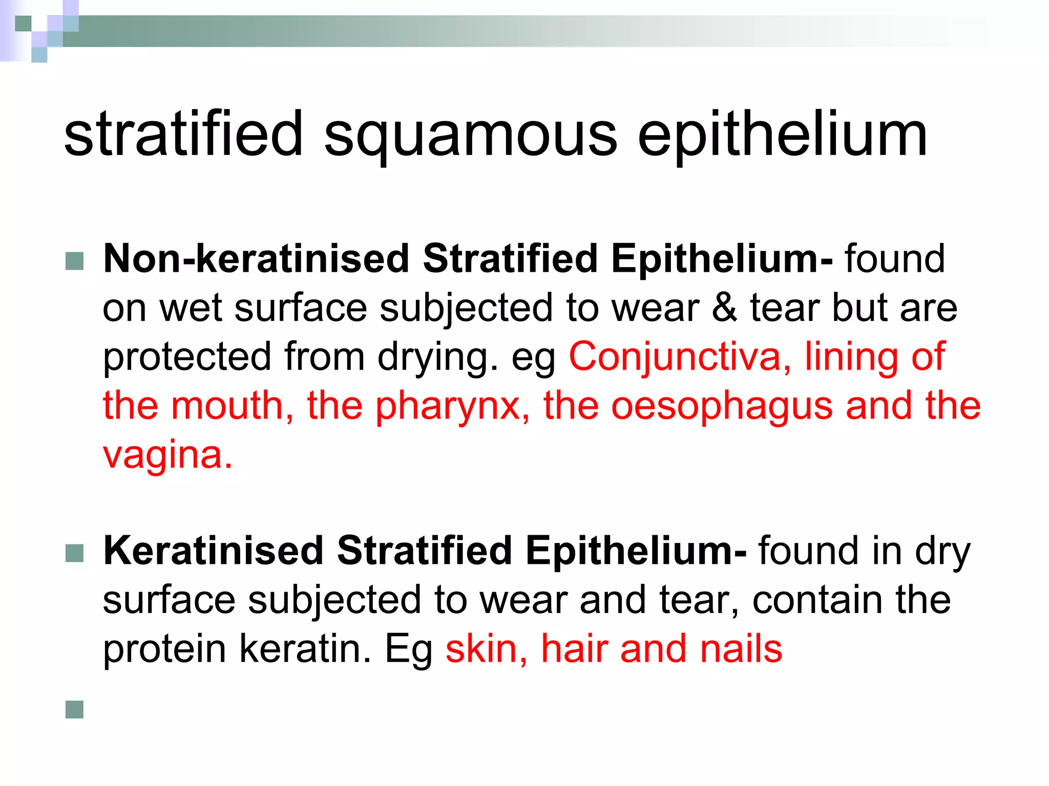 Structure of a Tissue,Functions and types of Tissue | PPT