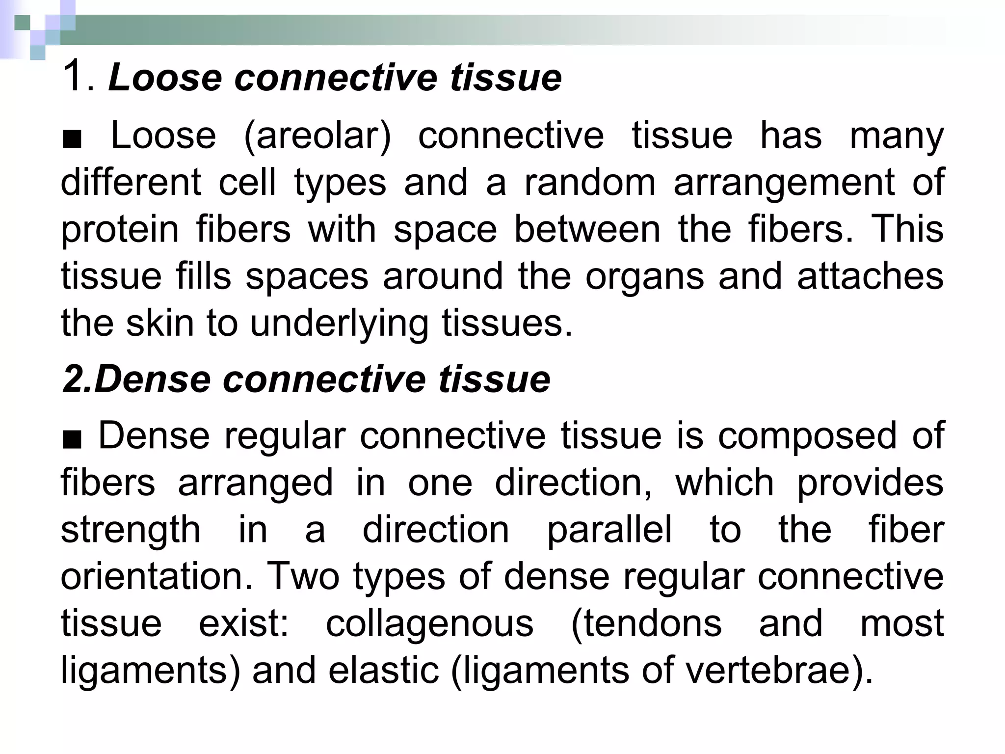 Structure of a Tissue,Functions and types of Tissue | PPT | Biological ...