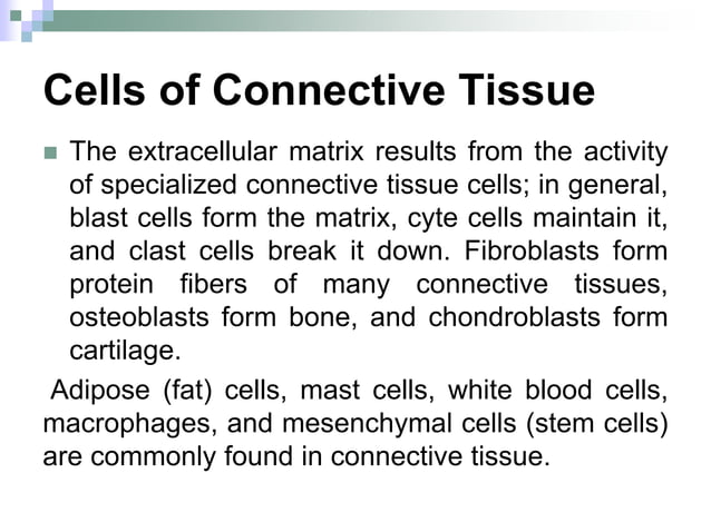 Structure of a Tissue,Functions and types of Tissue | PPT | Biological ...
