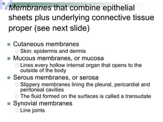 Structure of a Tissue,Functions and types of Tissue | PPT
