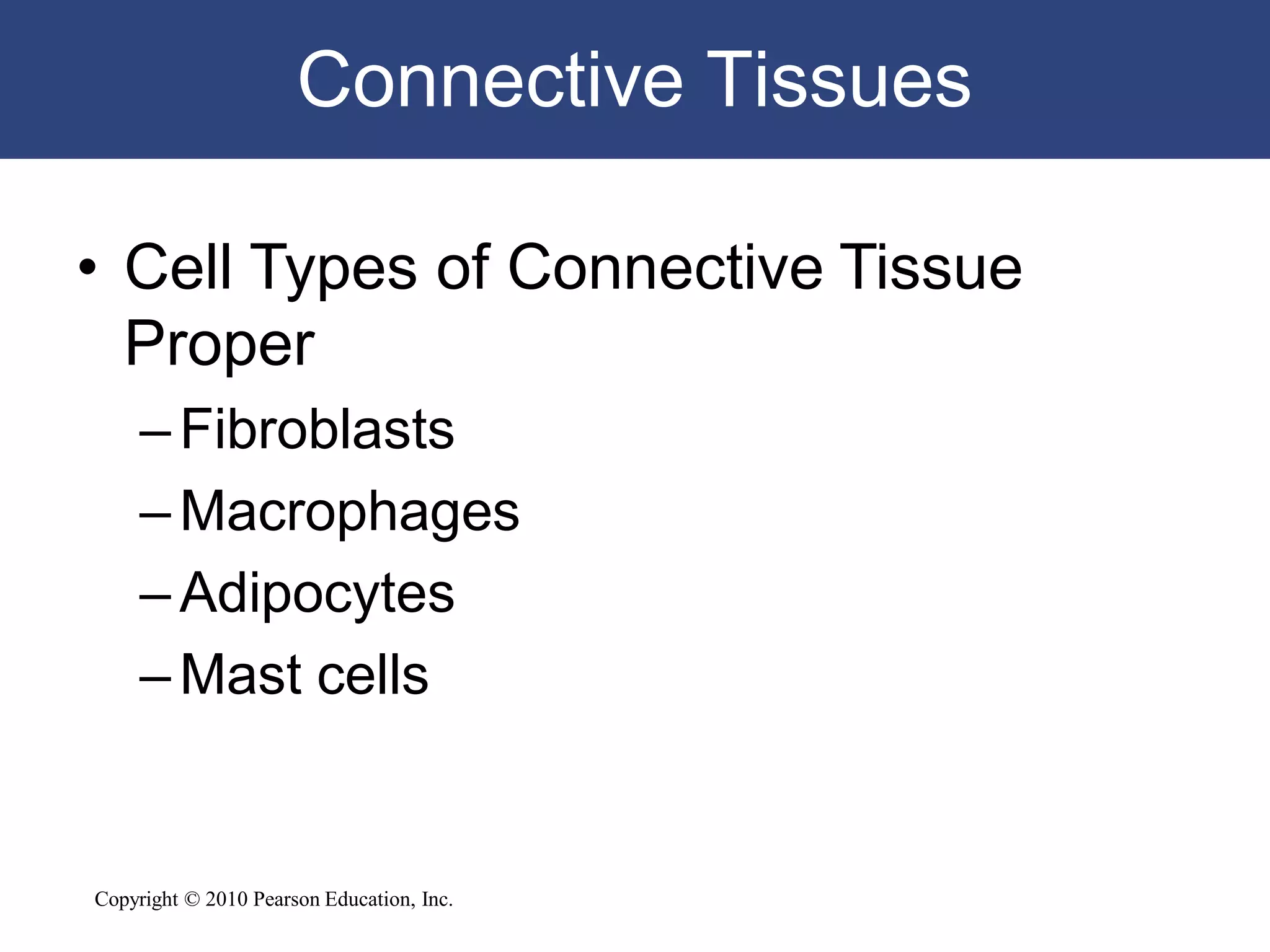 Lecture 4 tissue level of organization | PPT
