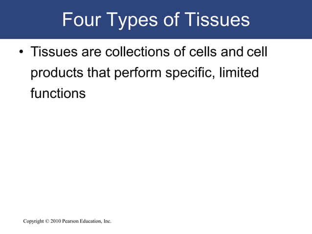 Lecture 4 tissue level of organization | PPT