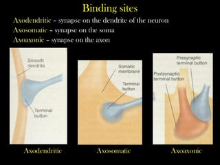 Lecture4 transmission | PPT