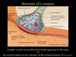 Lecture4 transmission | PPT