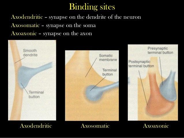 Lecture4 transmission