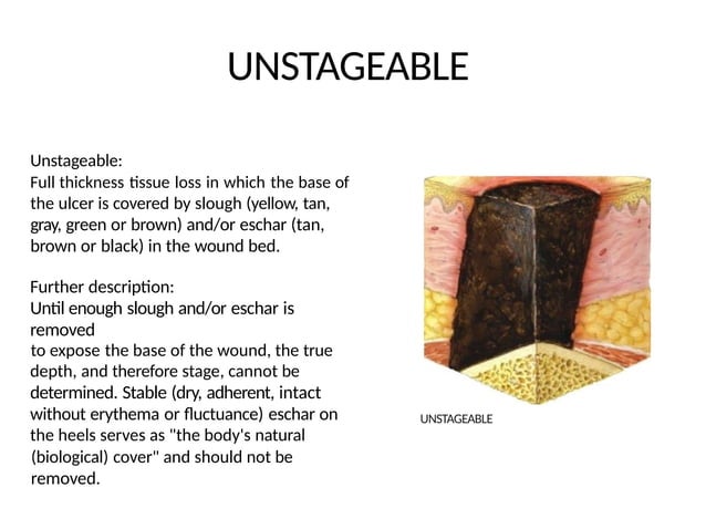 Types, Etiology, and Management of Wound | PPT