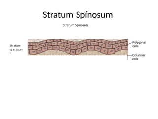 Types, Etiology, and Management of Wound | PPTX