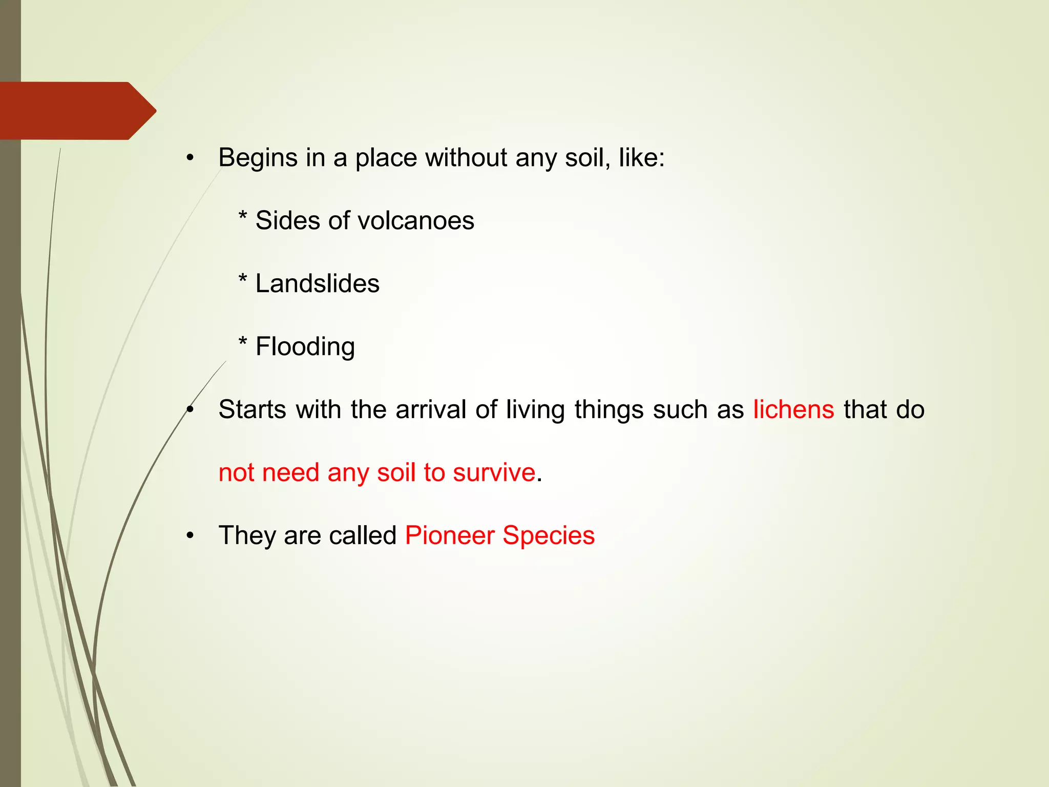 Lecture 5 0ppt Functions of ecosystem | PDF