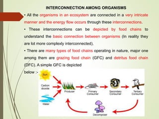 Lecture 5 0ppt Functions of ecosystem | PDF