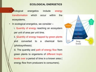 Lecture 5 0ppt Functions of ecosystem | PDF