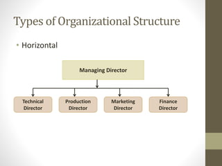 Organizational Structure | PPTX