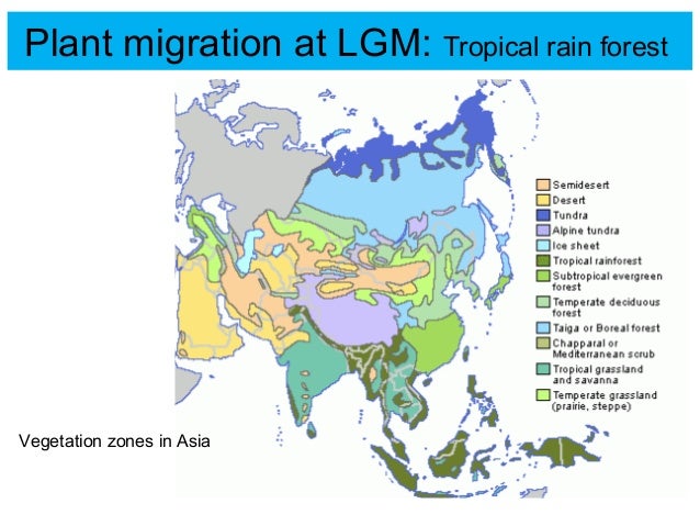 Asia Vegetation Map