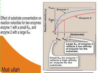 enzyme kinetics, mechanism of action of enzymes and line-weaver burk plot | PPT