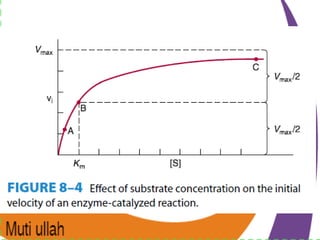 enzyme kinetics, mechanism of action of enzymes and line-weaver burk plot | PPT