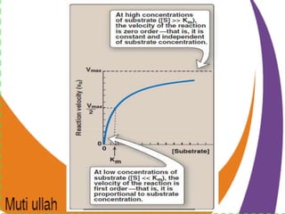 enzyme kinetics, mechanism of action of enzymes and line-weaver burk plot | PPT