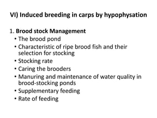 Lecture 5.induced breeding mcm | PPTX