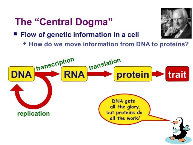 Central Dogma of Life