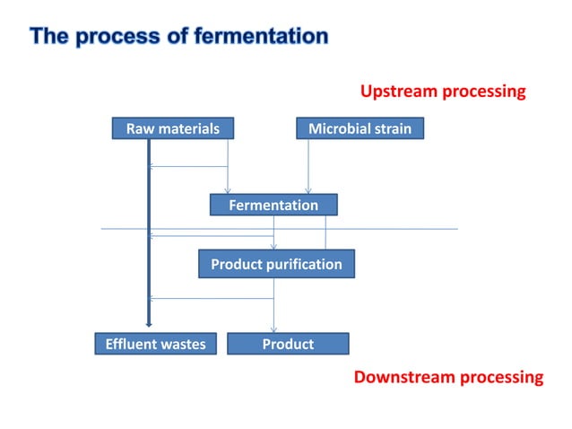 Fermentation Systems (Lecture 5) | PDF