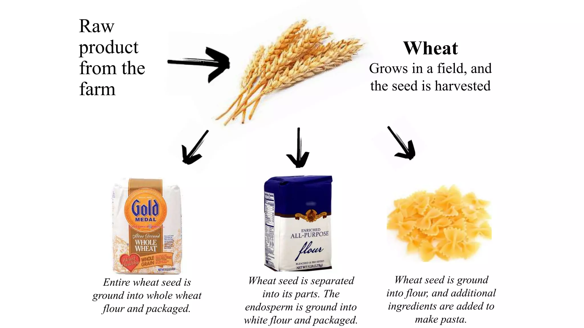 Lecture 5 food processing | PPTX