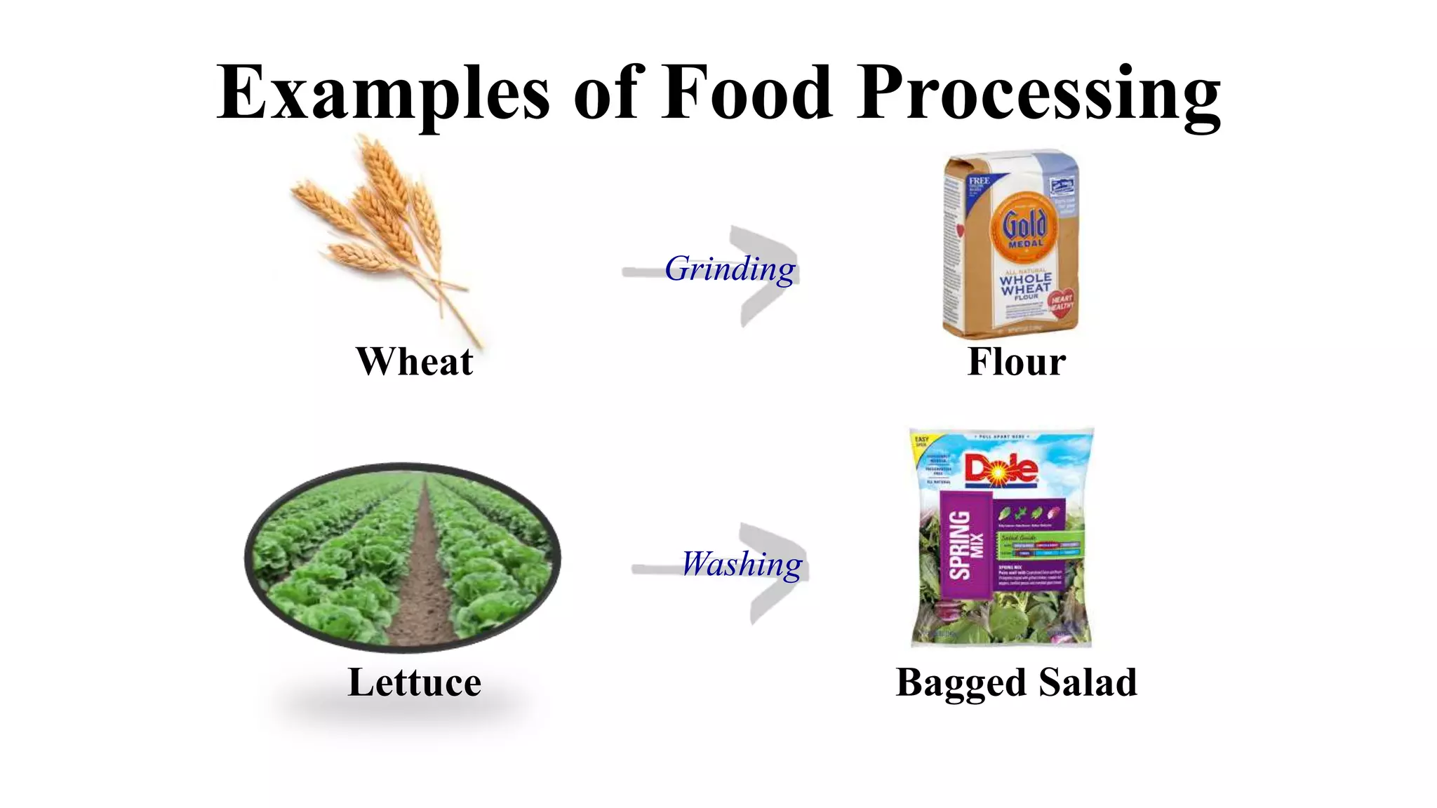 Lecture 5 food processing | PPTX