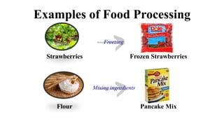 Lecture 5 food processing | PPTX