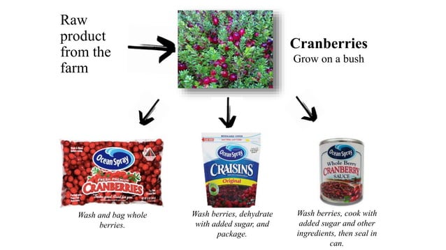Lecture 5 food processing | PPTX | Food Industry | Industries