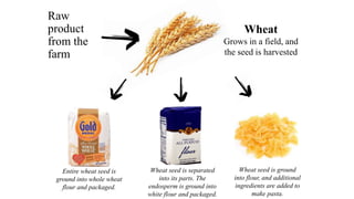 Lecture 5 food processing | PPTX