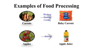 Lecture 5 food processing | PPTX