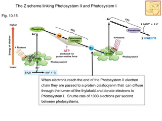 Lecture_5.ppt