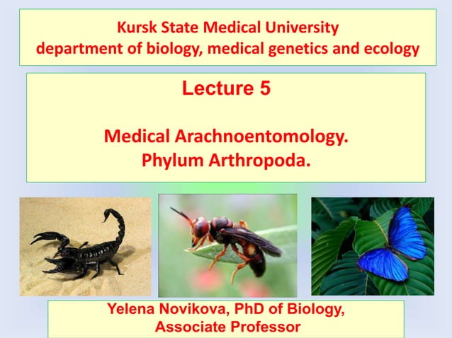 Lecture 5. Arthropoda.2016.pptx