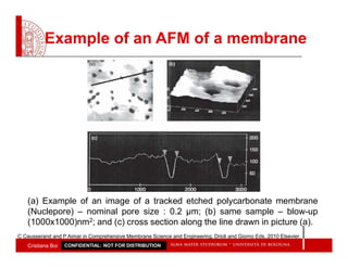 Membrane characterization | PDF