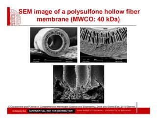 Membrane characterization | PDF