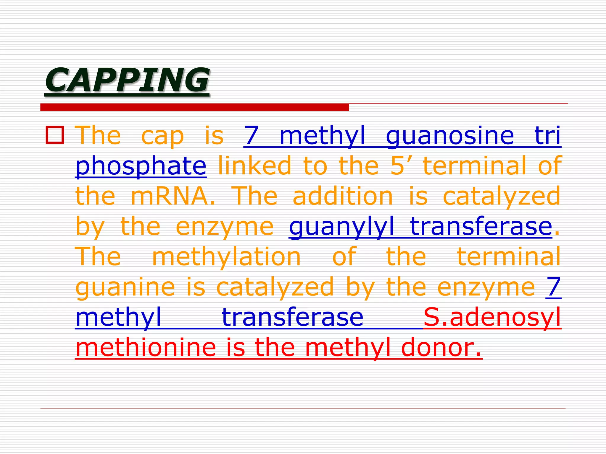 Lecture 5. Transcription.ppt