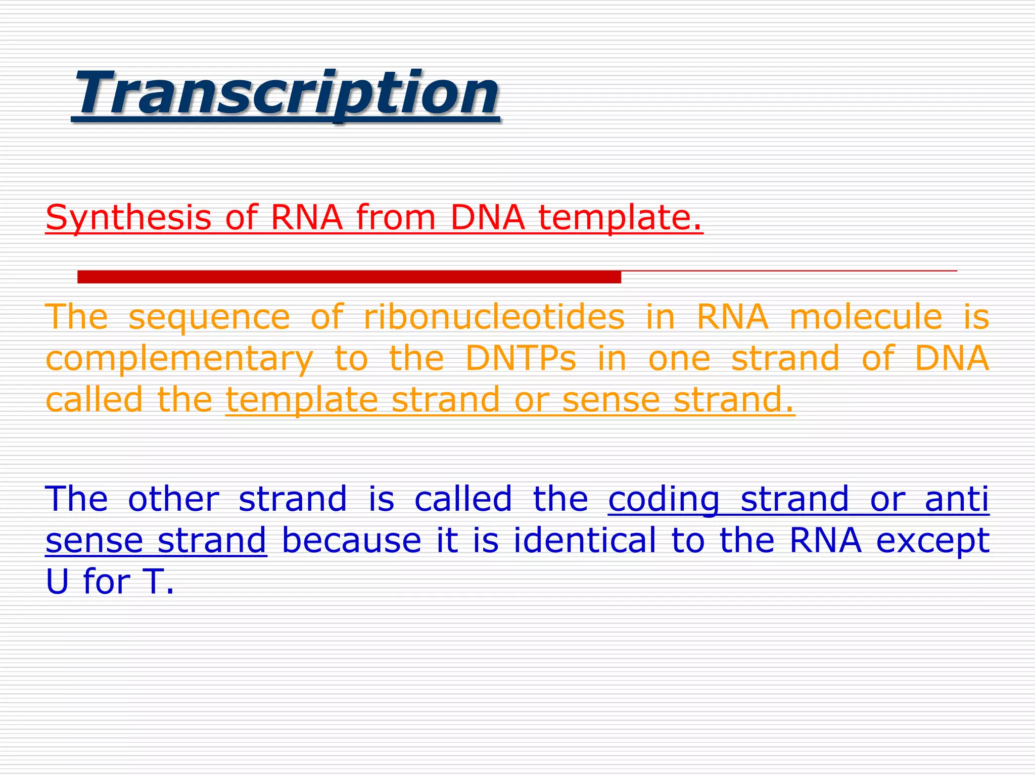 Lecture 5. Transcription.ppt