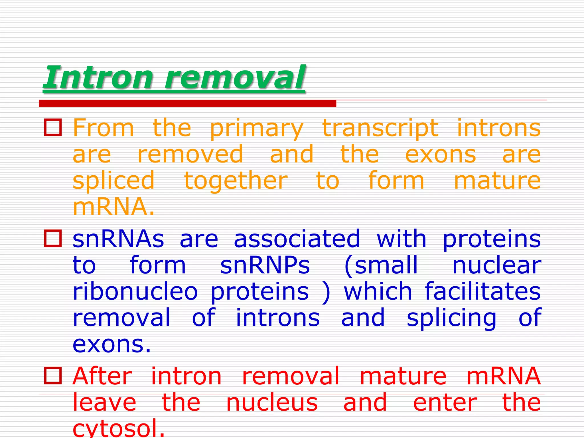 Lecture 5. Transcription.ppt