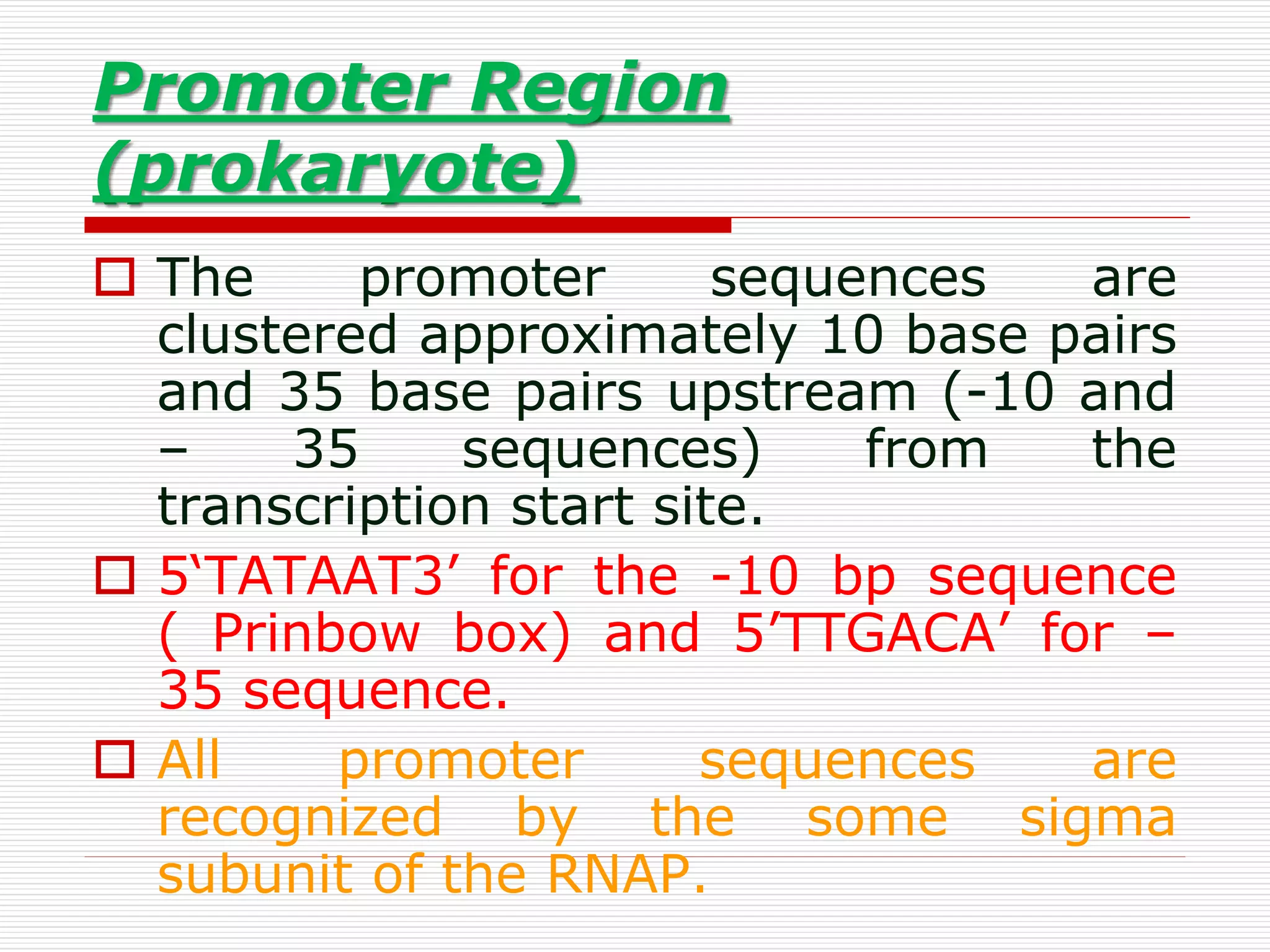 Lecture 5. Transcription.ppt