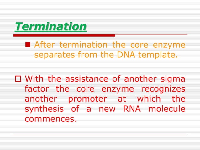 Lecture 5. Transcription.ppt | Chemistry | Science